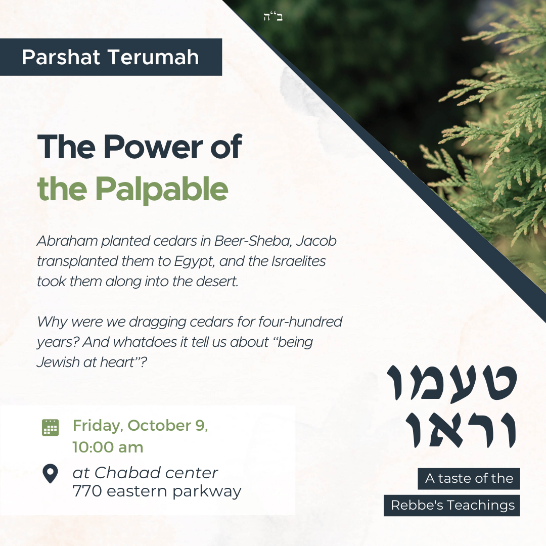 Tamu Terumah - Jewish Insights