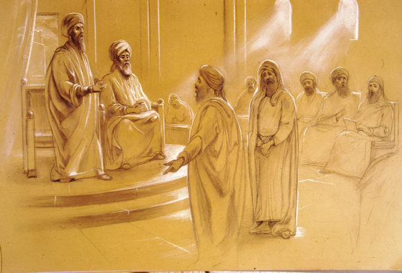 Emor - Jewish Insights